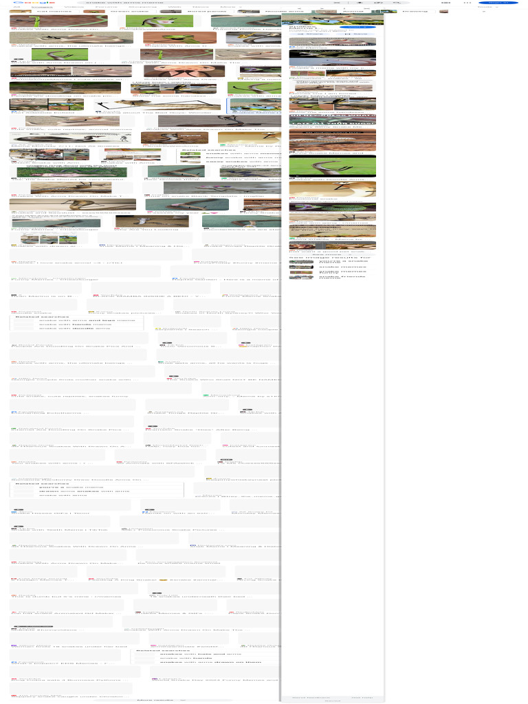Snake With Arms Meme - Google Search | PDF | Web 2.0 | Internet