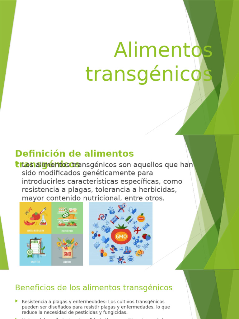 Beneficios y riesgos de alimentos transgénicos | PDF