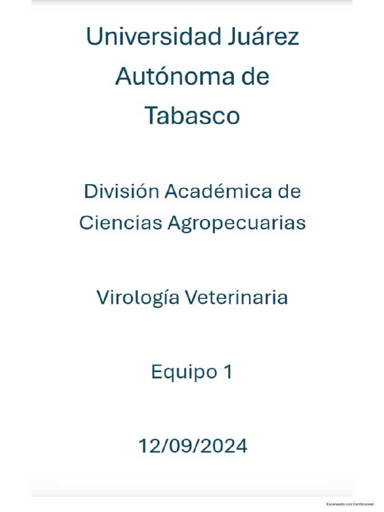 Efectos de Los Agentes FQ de Los Virus VIRVET | PDF