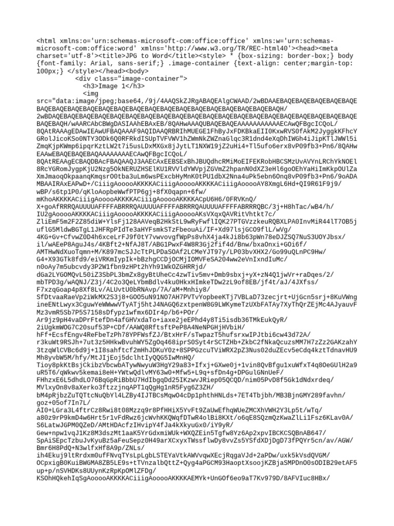 Image to Word Conversion Guide | PDF