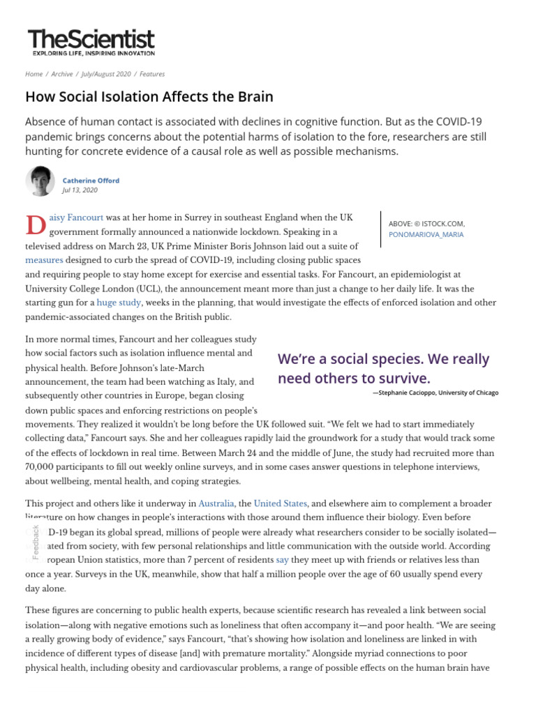 How Social Isolation Affects The Brain (The Scientist) | PDF | Loneliness | Solitary Confinement