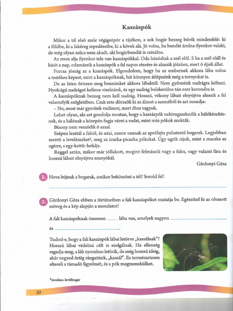 3.oszt - Kaszáspók Szövegértés - Fejl.gyak. | PDF