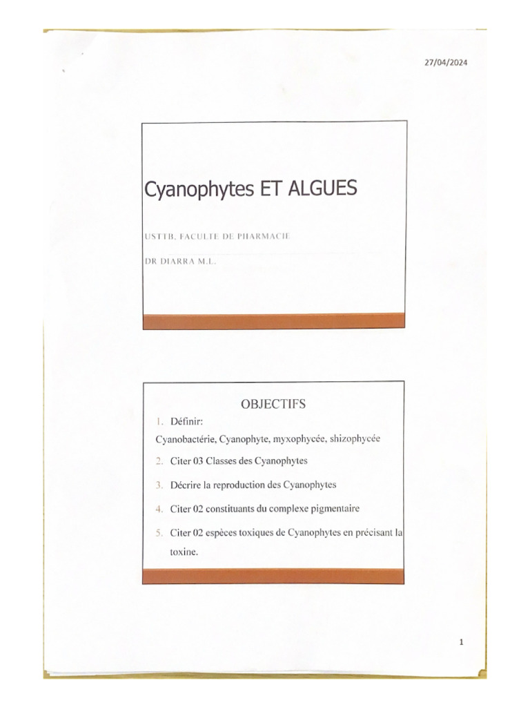 Cyanophytes ET ALGUES | PDF