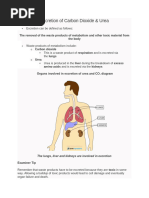 Excretion and Homeostasis Form2 | PDF | Kidney | Homeostasis