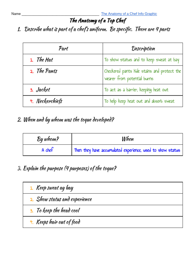 Realynn Moya - Anatomy of A Chef - 19366090 | PDF | Knife | Foods