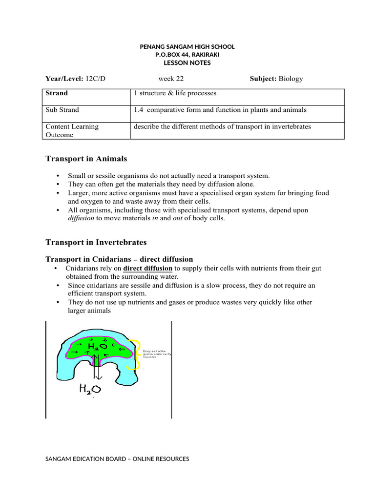 Biology-Worksheet-22-1 | PDF | Circulatory System | Blood Vessel