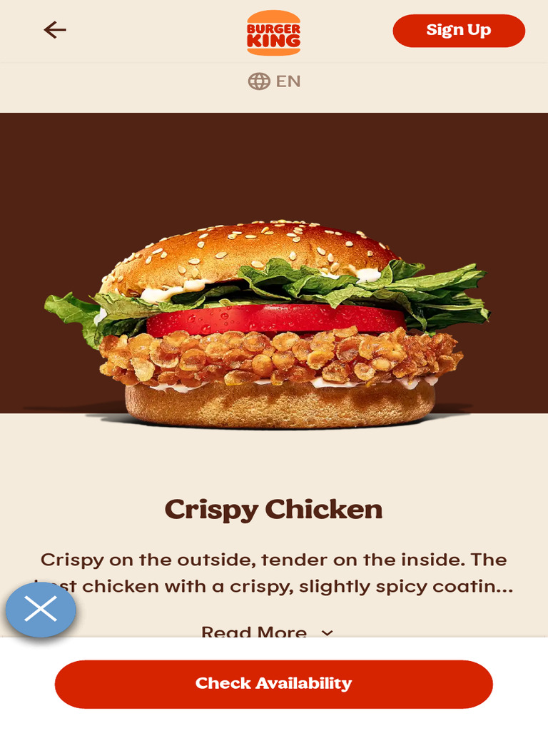 Crispy Chicken | PDF