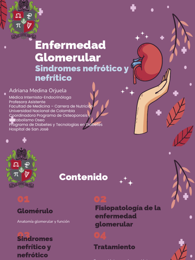 Enfermedad Glomerular Sindrome Nefrotico y Nefritico 1 PPTX | PDF | Riñón | Especialidades Medicas