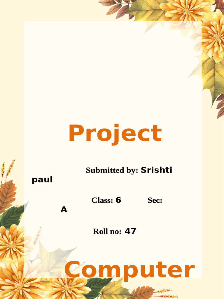 Class 6 Computer Project Submission | PDF