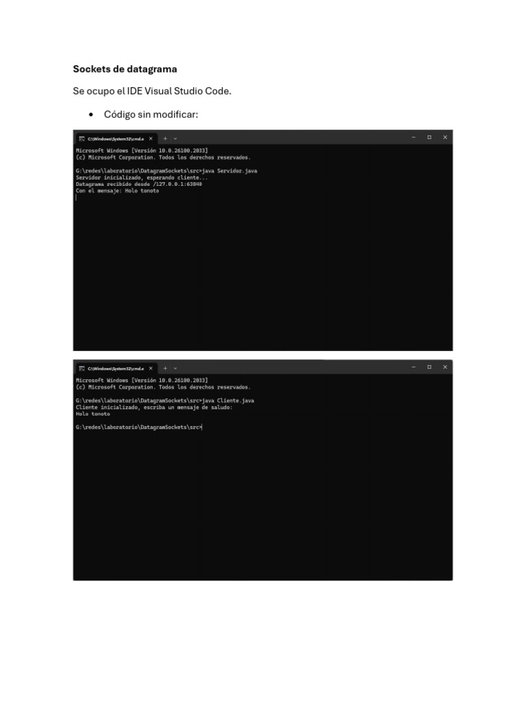 Sockets de datagrama - reporte | PDF