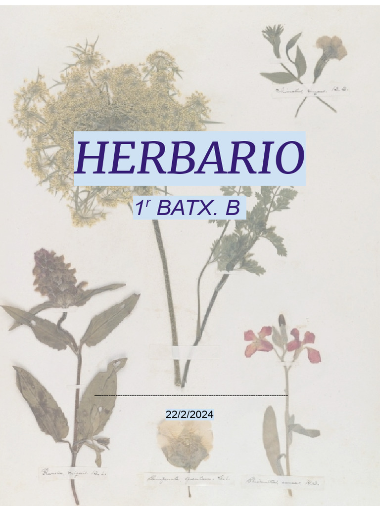 Herbario? | PDF