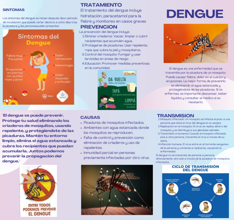 Síntomas y prevención del dengue | PDF | Especialidades Medicas ...