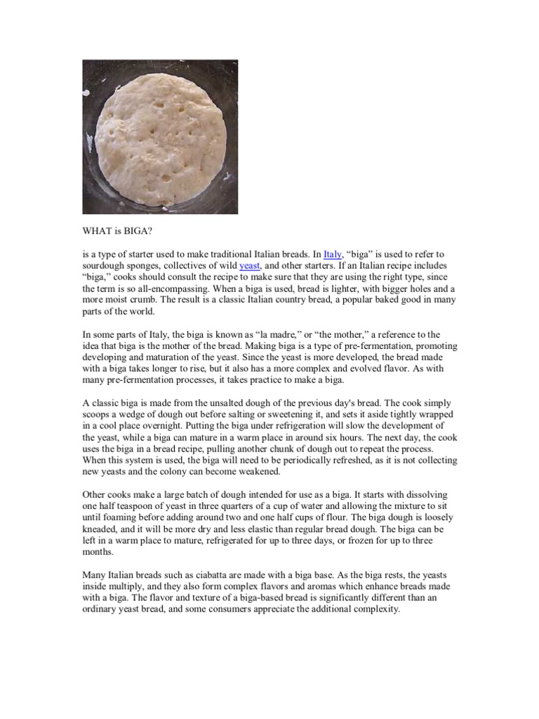 What Is Biga | PDF | Breads | Dough