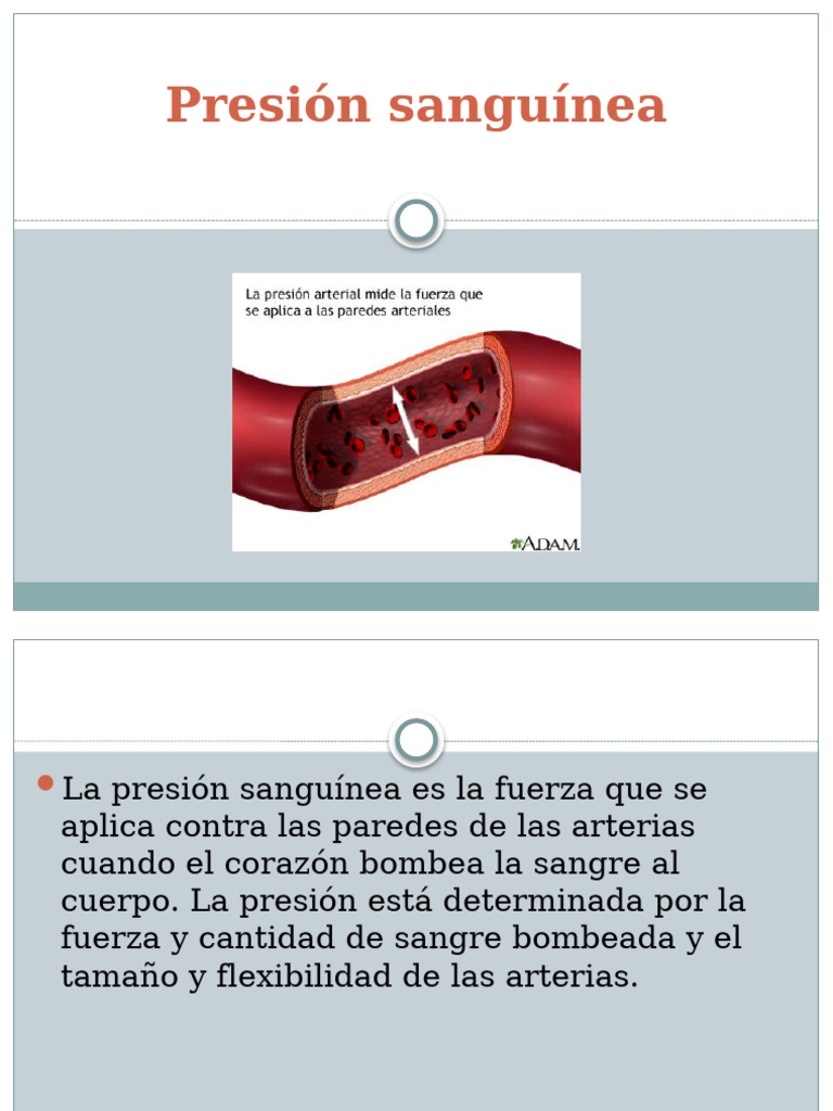 Presion Sanguinea | PDF
