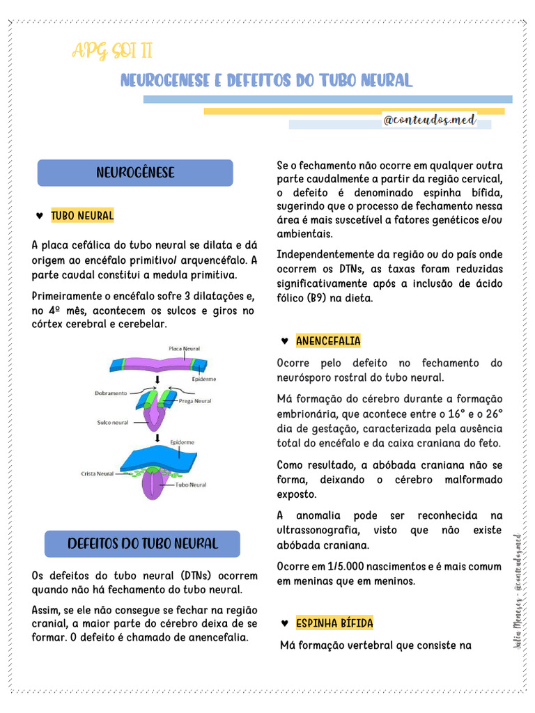 APG 03 Neurogenese e Defeitos Do Tubo Neural | PDF | Cérebro | Sistema nervoso