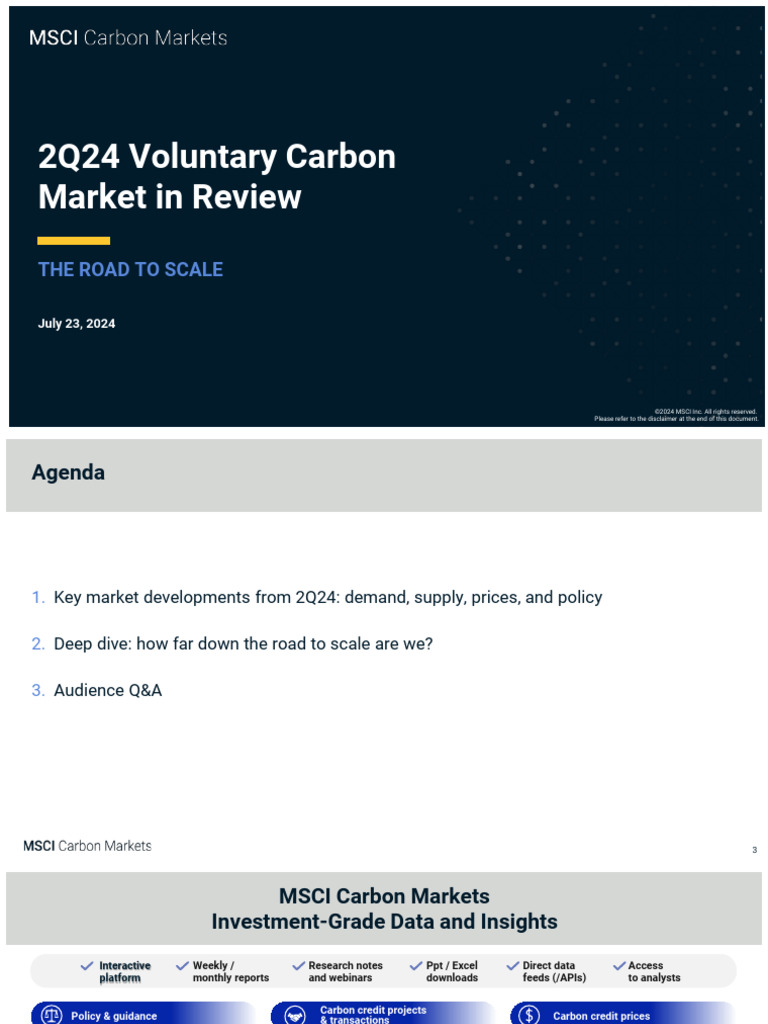 2Q24 Voluntary Carbon Markets in Review - July 23 2024 | PDF | Climate ...
