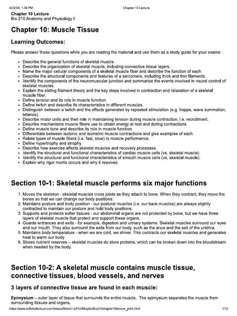 Muscles SoftChalk Cloud | PDF