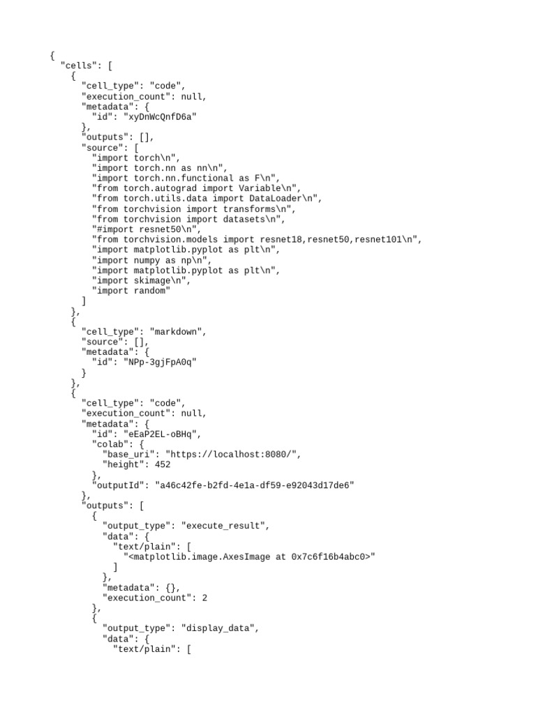 PyTorch & Vision Models Guide | PDF | Software Engineering | Computing