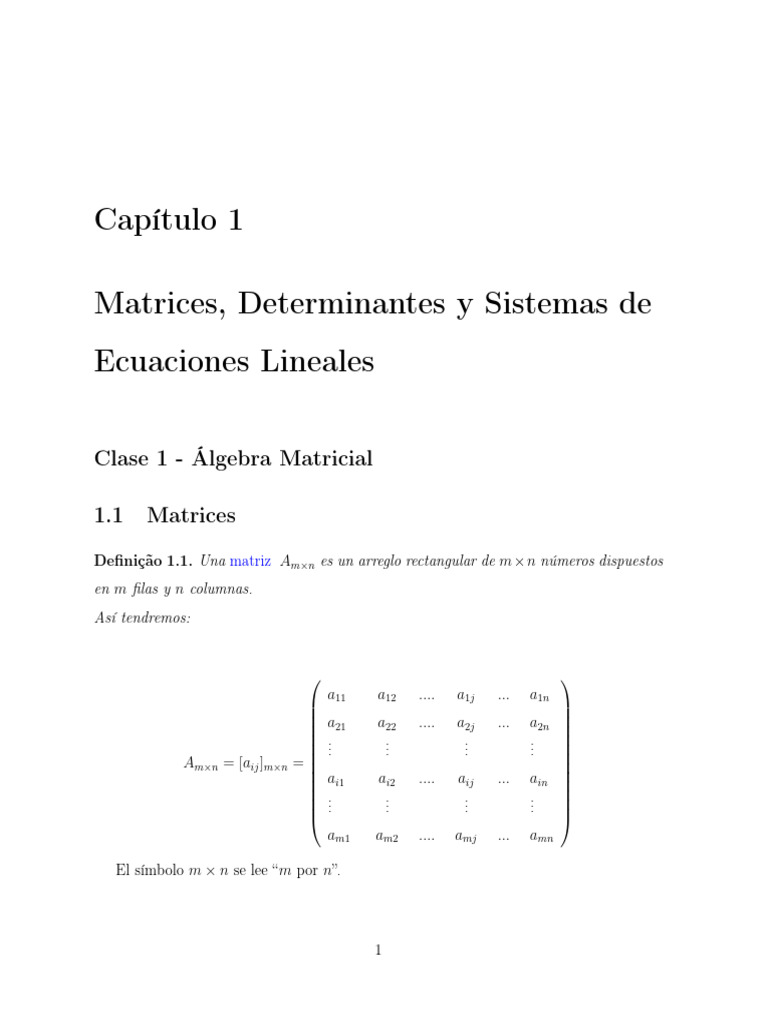 Clase 1 | PDF | Matriz (Matemáticas) | Análisis funcional