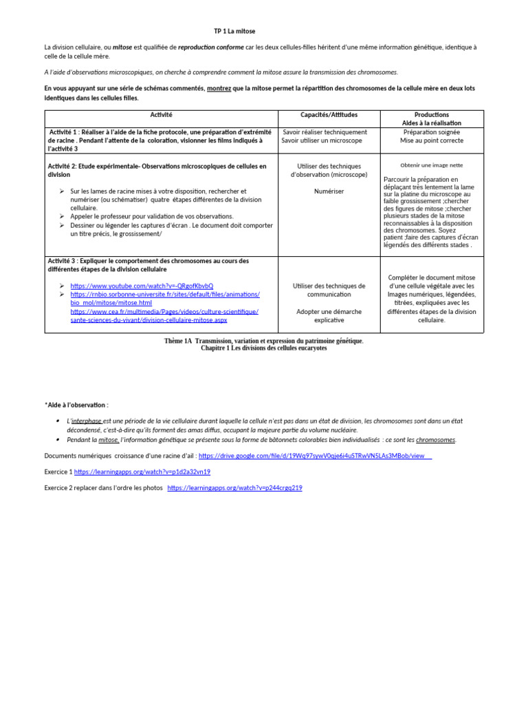TP1 - Mitose 2021 | PDF | Cellule (Biologie) | Mitose