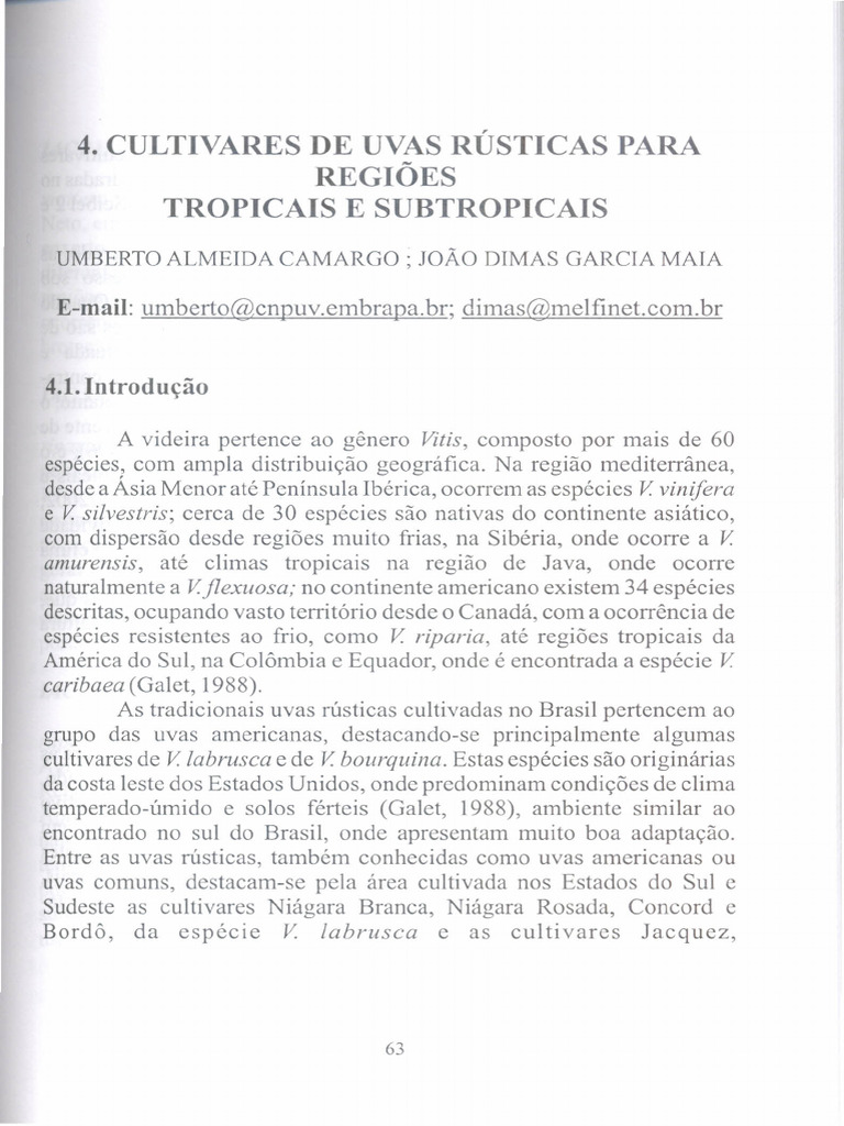 Cultivares de Uva | PDF | Uva | Vinhos