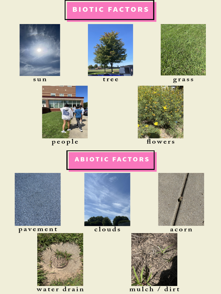 biotic vs. abiotic factors | PDF