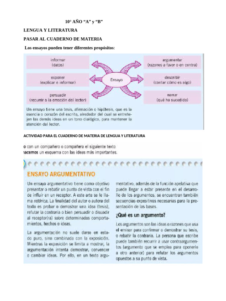 Ensayos y Falacias en Lengua y Literatura | PDF