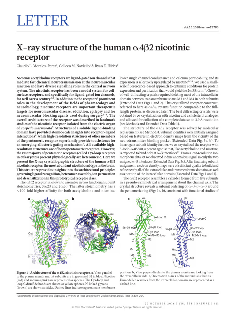 X-ray Structure of Human α4β2 Receptor | PDF | Receptor (Biochemistry ...