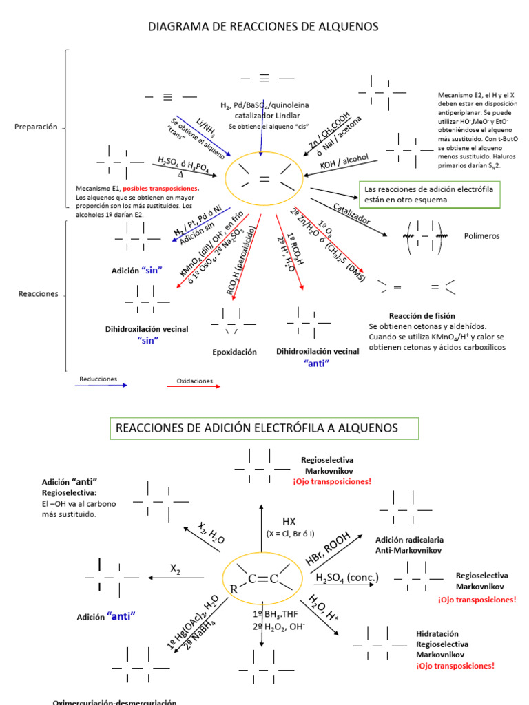 Esquema de Reacciones de Alquenos y Alquinos | PDF | Química | Química ...