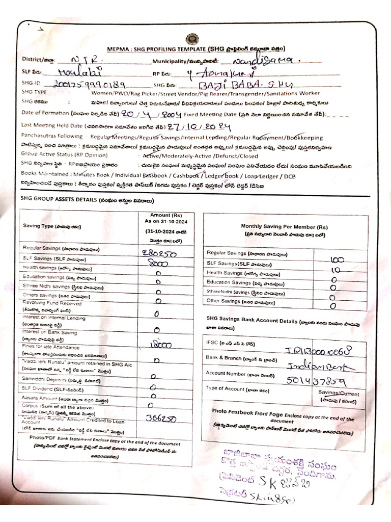 Baji Baba SHG New Doc 01-11-2025 17.23 | PDF
