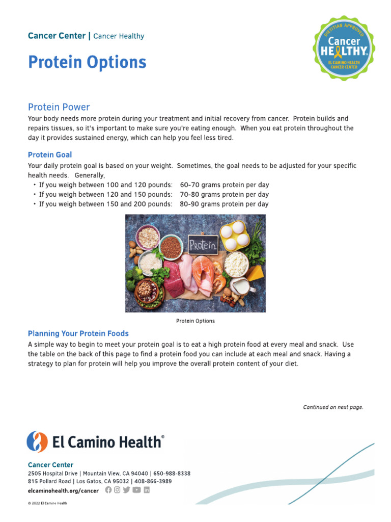 Protein Options | PDF | Chickpea | Foods