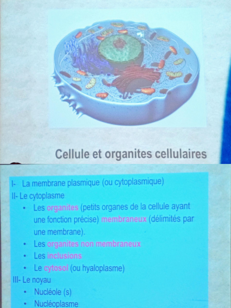 biology part 1 | PDF