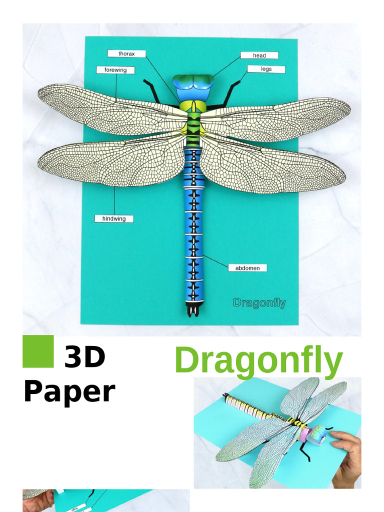 3D Paper Dragonfly Craft Template | PDF