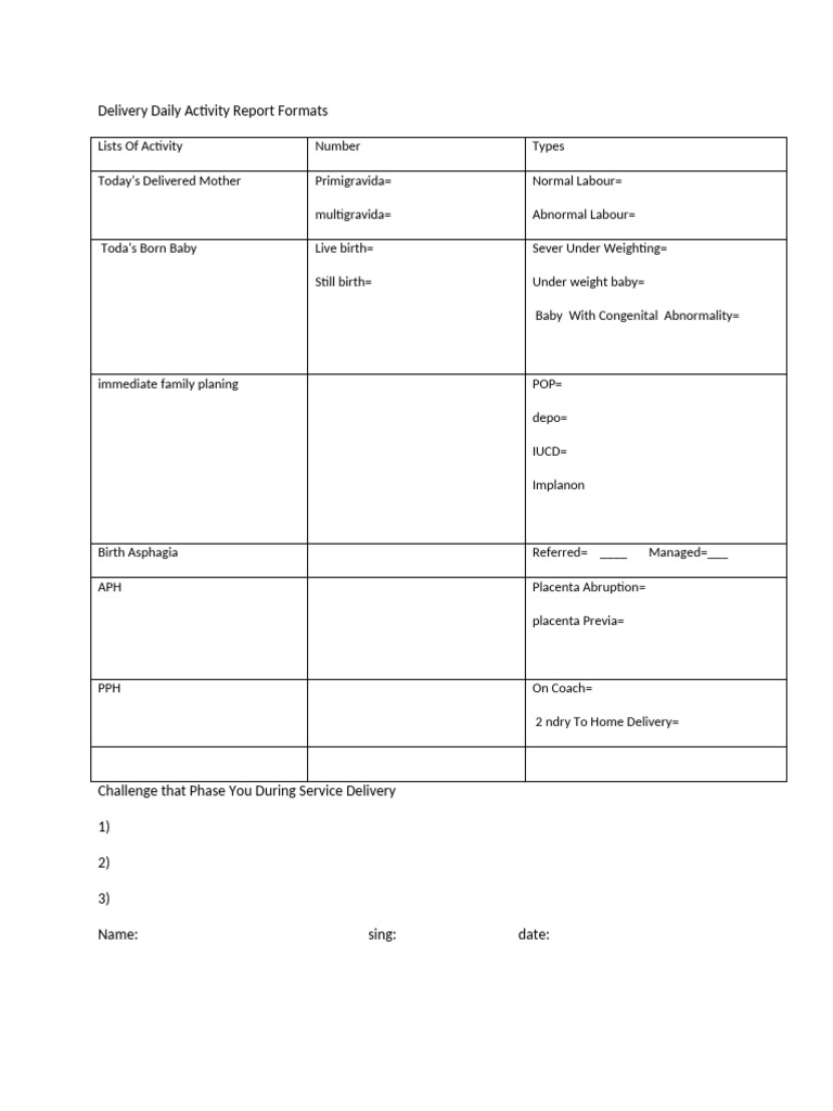 Delivery Daily Activity Report New | PDF