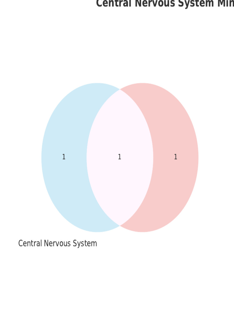 Central Nervous System Overview | PDF