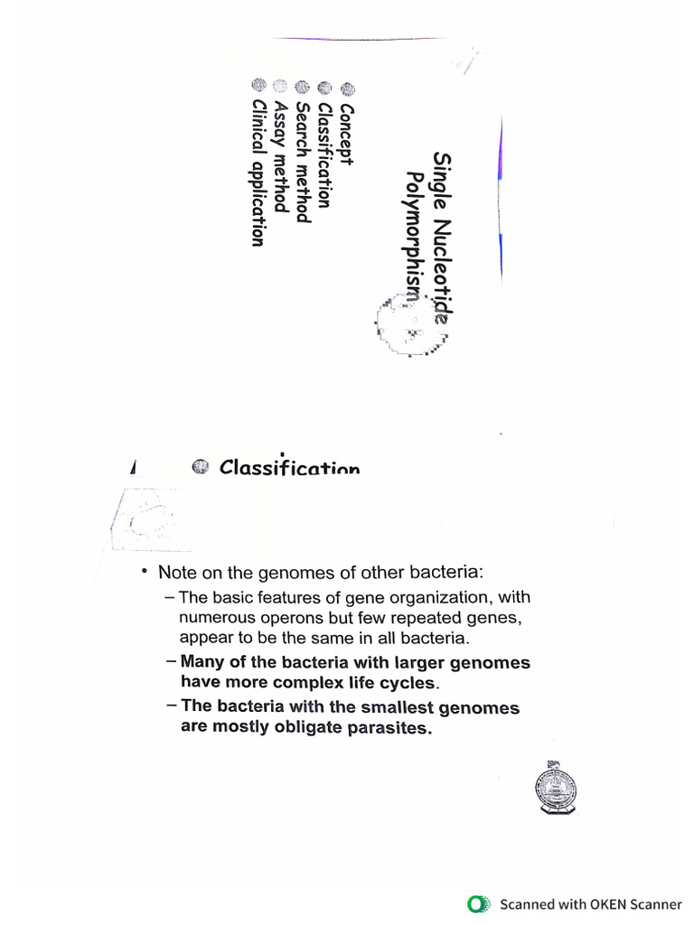 Collage Document | PDF