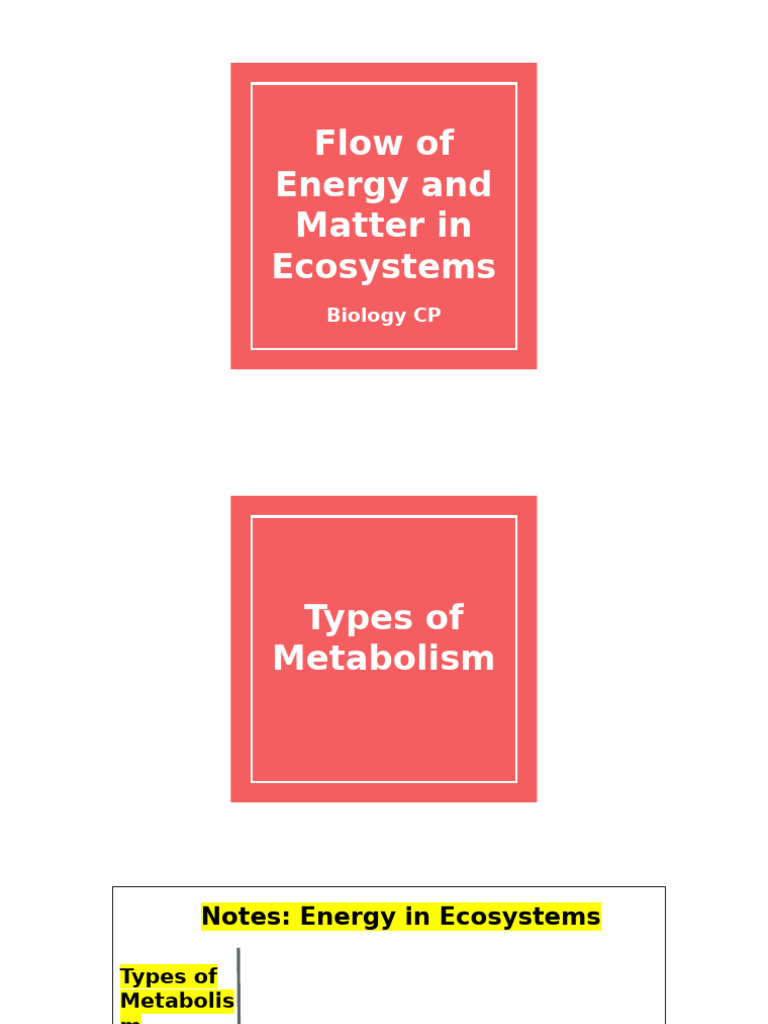 Energy and Matter in Ecosystems | PDF | Food Web | Foods