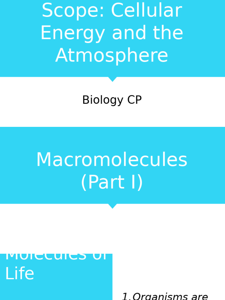 Biology CP: Macromolecules & Energy | PDF | Cellular Respiration ...