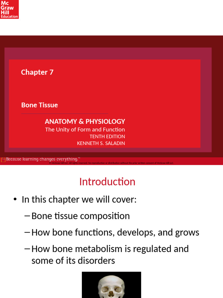 Bone Tissue: Anatomy & Physiology | PDF | Bone | Anatomy