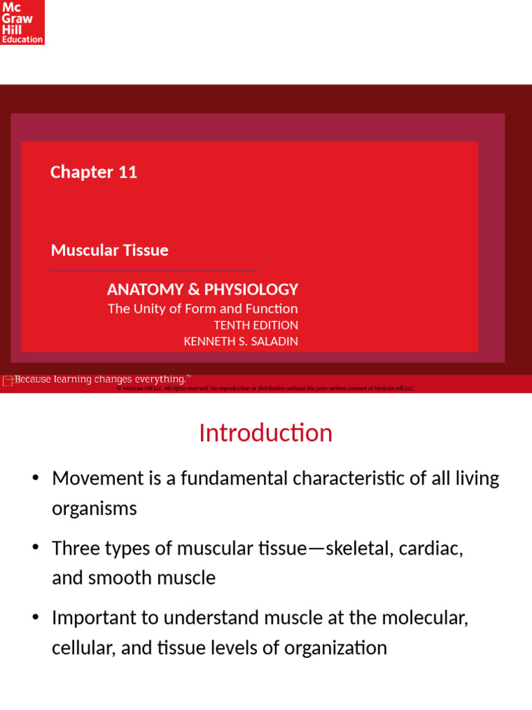 Chapter 11 Student Version Fall 2023 | PDF | Motor Neuron | Neuromuscular Junction