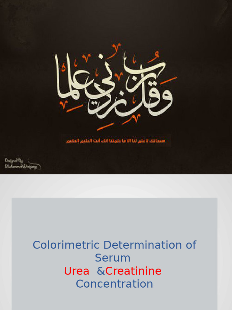 12 - Renal Function Tests - Urea - Creatinine - GFR-1 | PDF ...