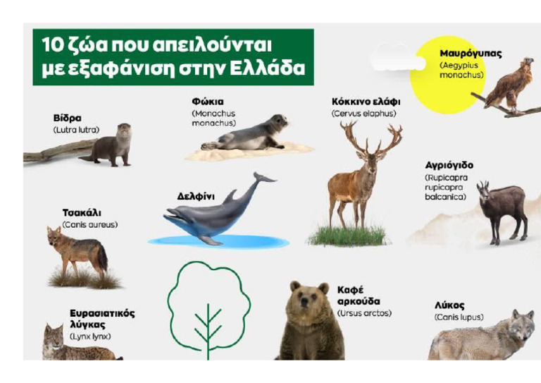 10 ζωα απειλουμενα | PDF