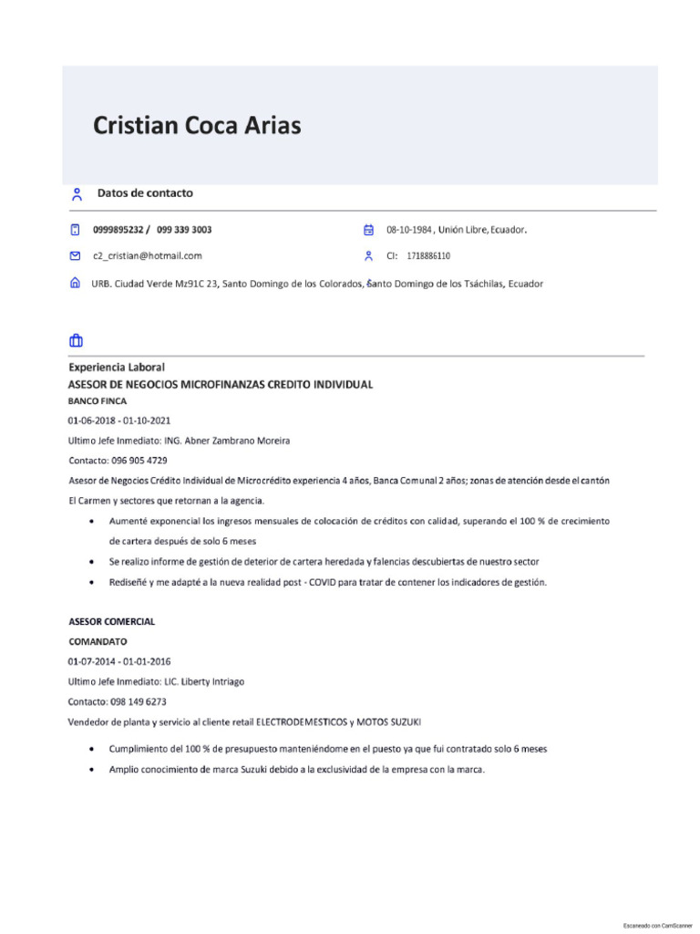 CV Cristian Coca | PDF