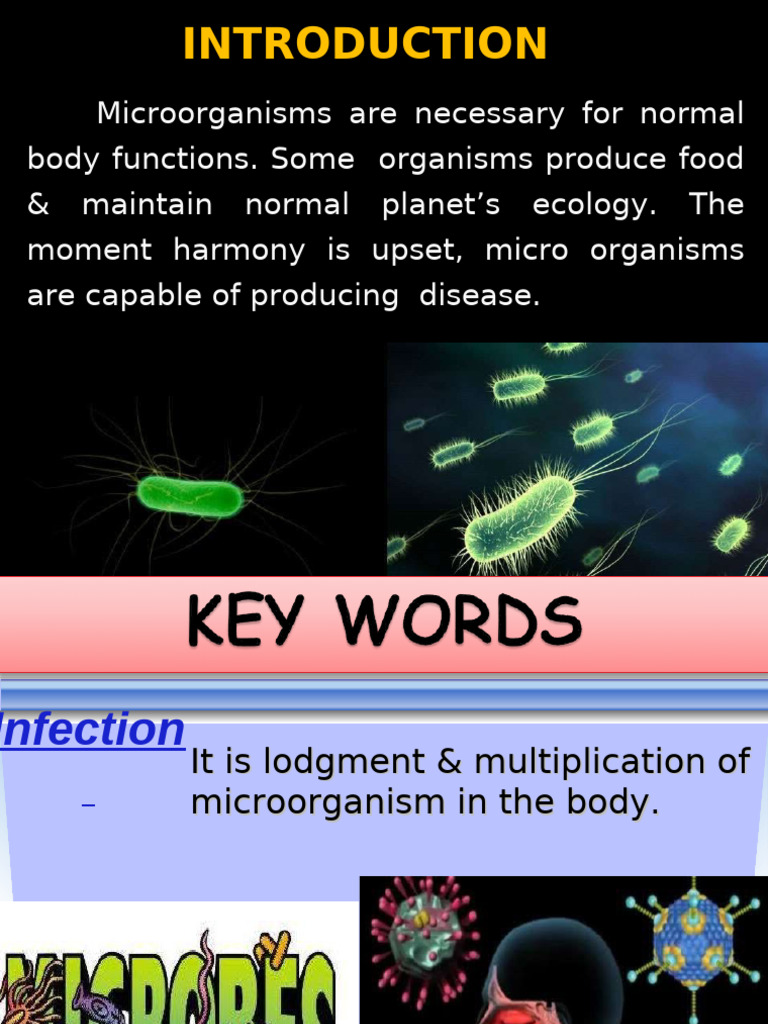 Chain Of Infection Final Lec Pdf Infection Pathogen