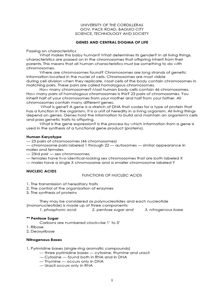 LECTURE NOTE # 7 GENES & CENTRAL DOGMA-1 | PDF | Dna | Nucleotides