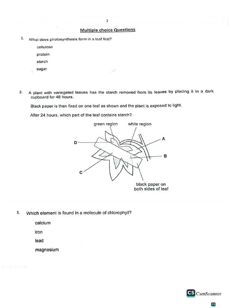 Y9 Bio Test 4 Unsolved | PDF