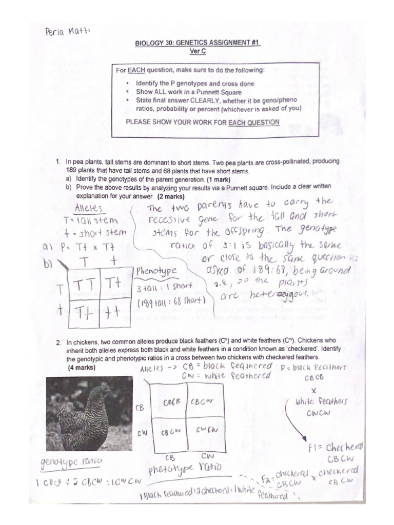Biology 30 Genetics Assignment #1 | PDF
