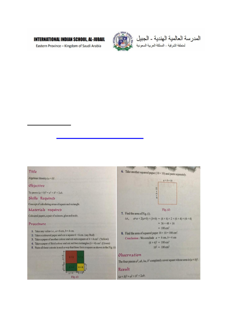 Class VIII - Maths - PA2 Phase 1 Activity | PDF