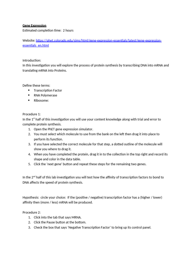 Gene Expression and Protein Synthesis Lab | PDF | Messenger Rna | Gene