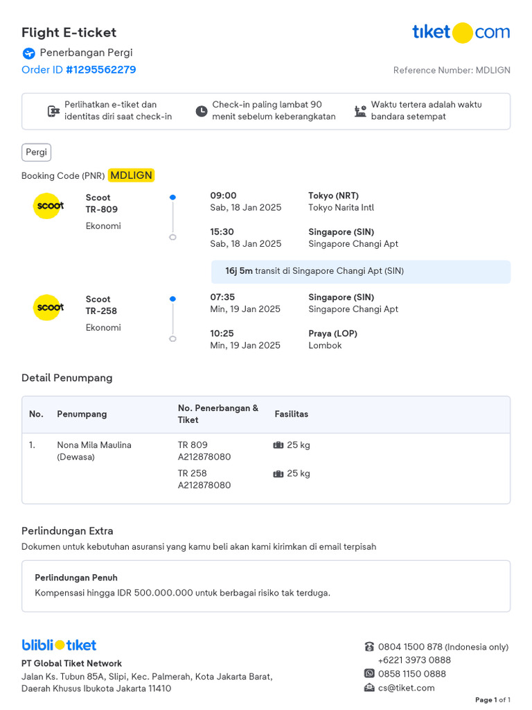 Flight E-Ticket - MDLIGN | PDF